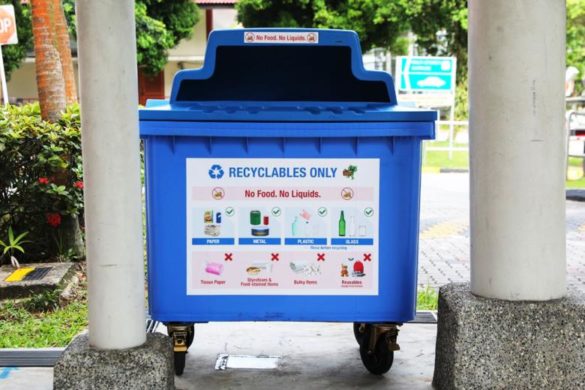 Learning to recycle responsibly and effectively - Our Neighbourhood