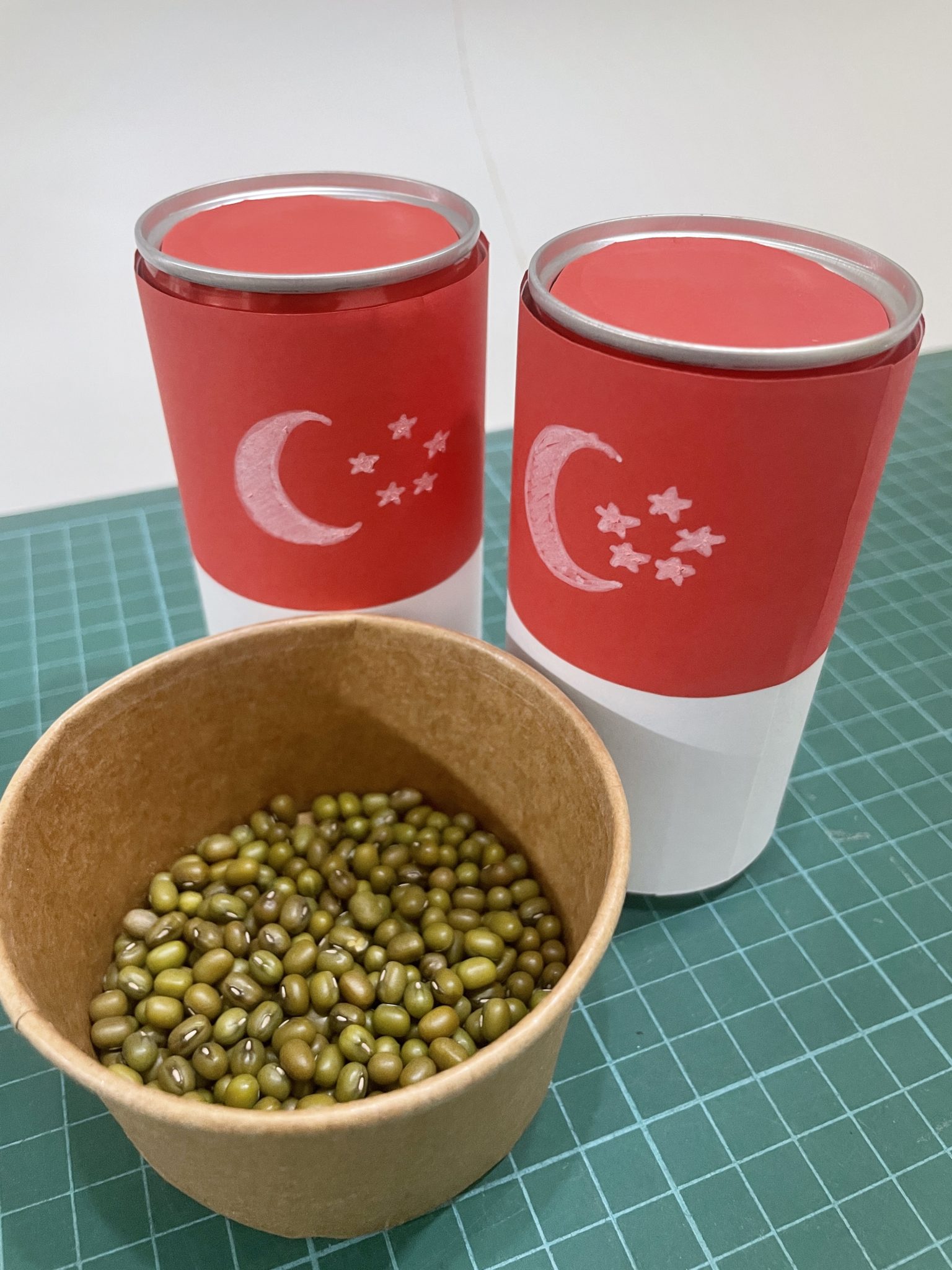 5 Easy National Day Craft Ideas - Our Neighbourhood