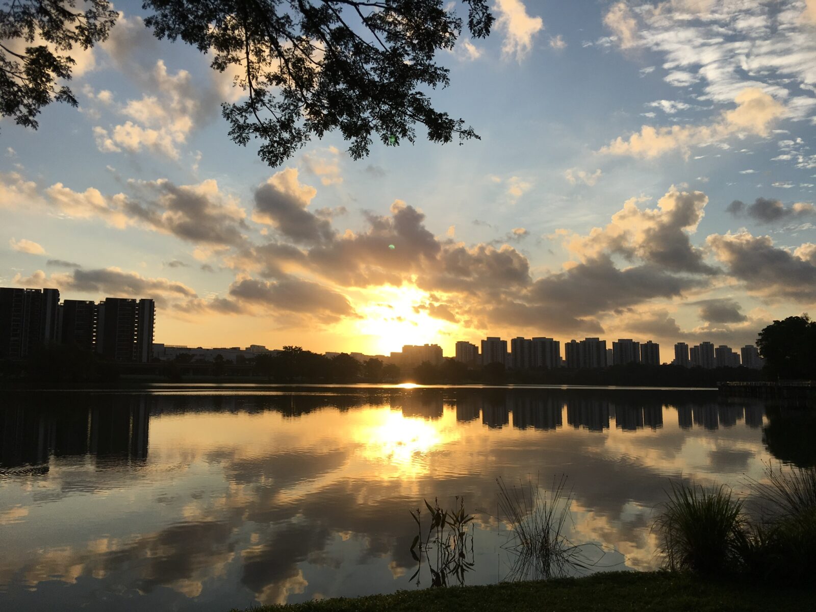 Meet the winners of the JRTC photo competition - Our Neighbourhood