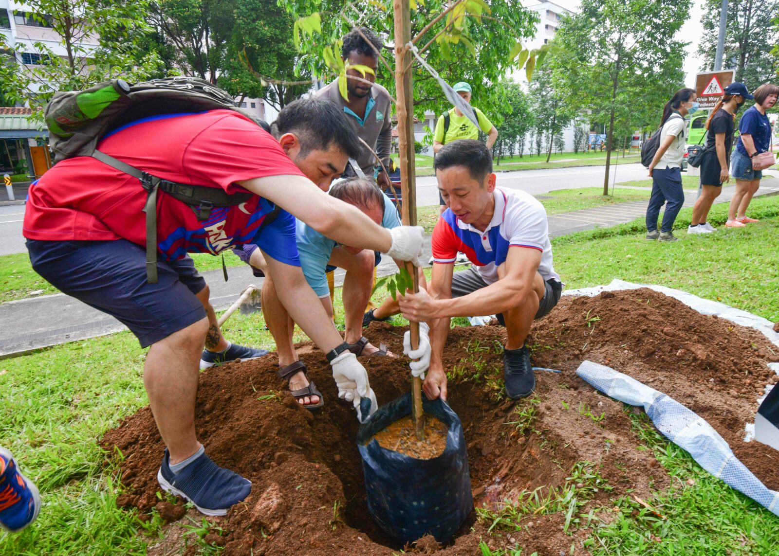 Jurong Central's Clean-Up and Tree-Planting Gathering Embraces A ...